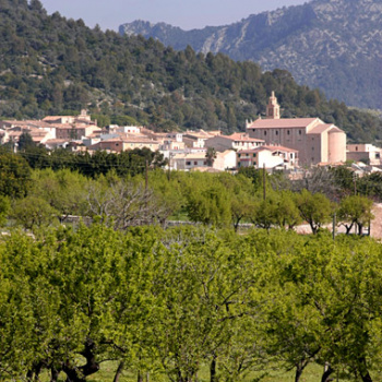 Caimari (Selva) | El Camí